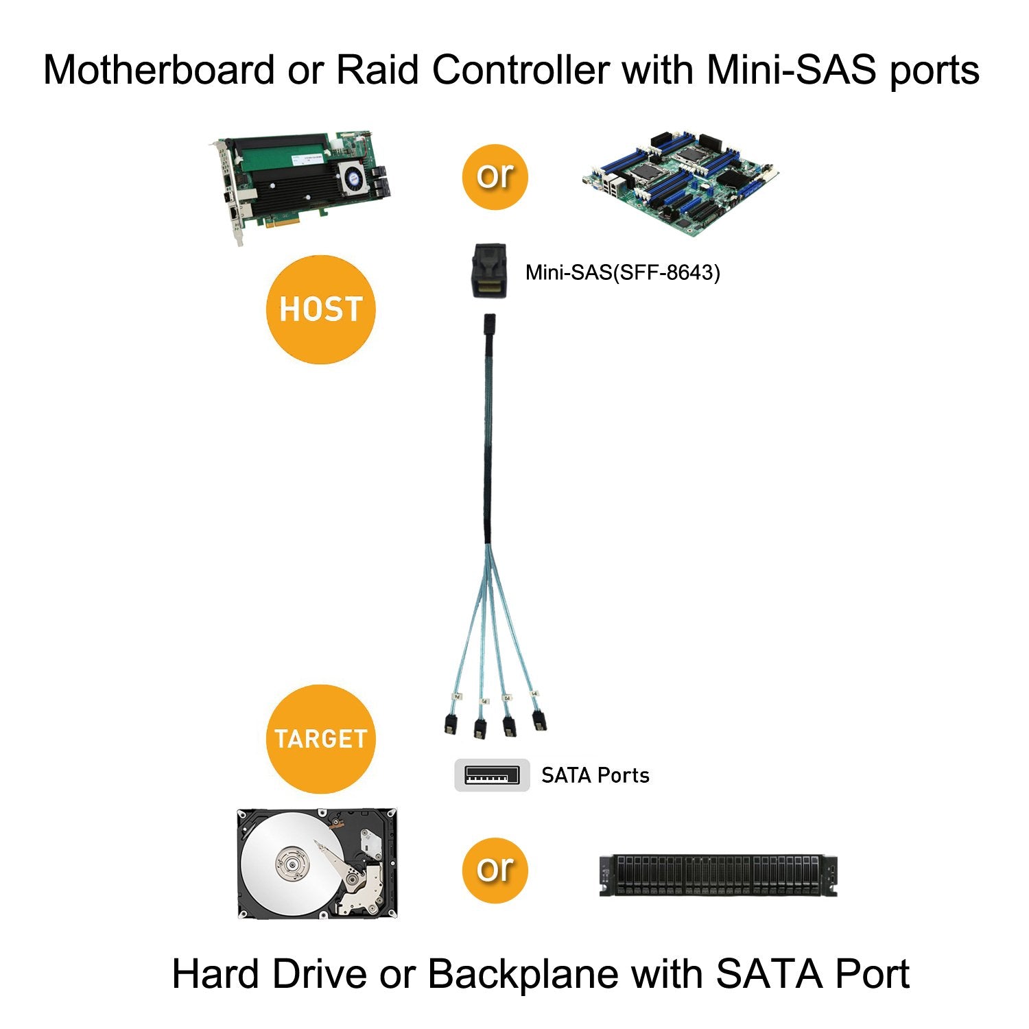 Mini SAS to 4x SATA HDD Splitter Cable | CableCreation